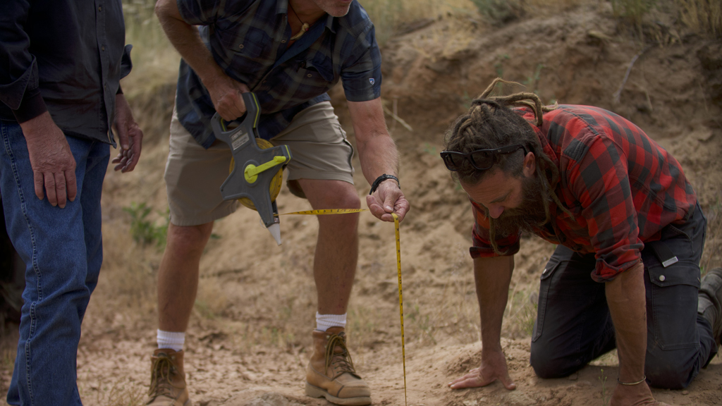 Discovery Channel HD schedule & listings for today and tonight | TV Guide