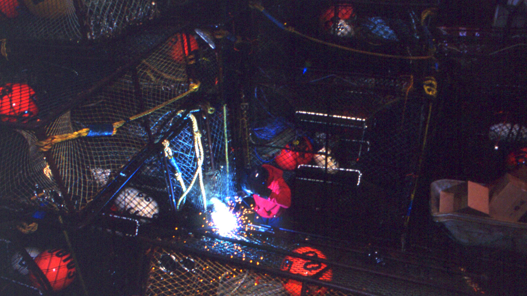 DMAX schedule & listings for today and tonight | TV Guide