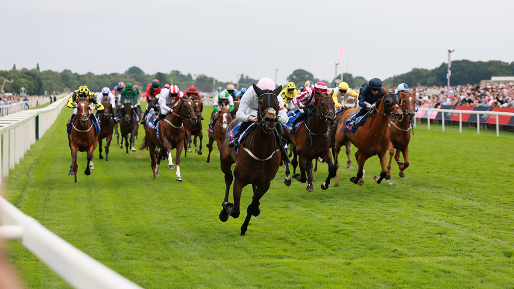 ITV Racing: Live from Newcastle on ITV1 Channel Television: full ...