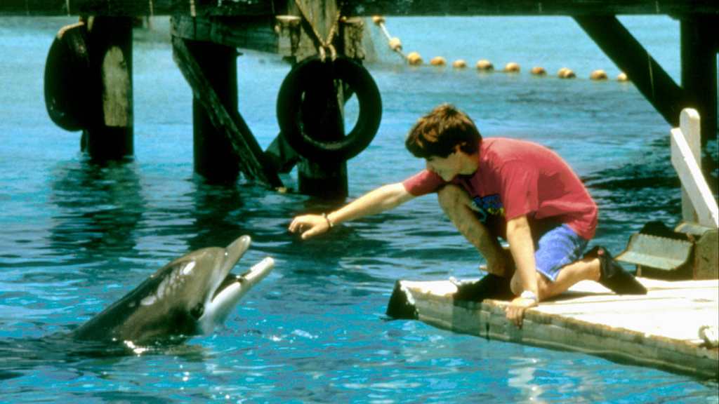 Flipper (1996) : Film | Find out more on Flipper with digiguide.tv