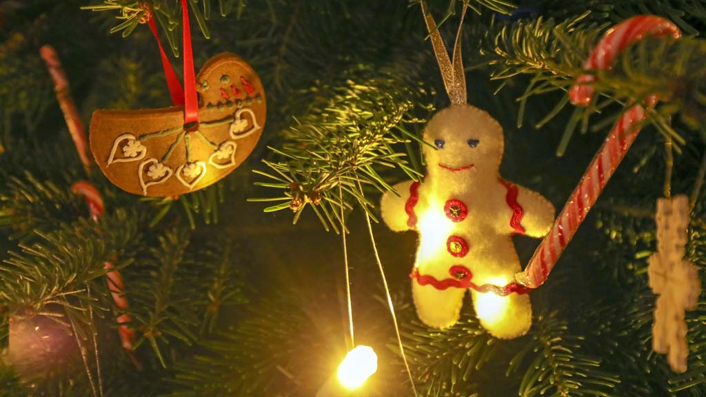 MTV Music schedule & listings for today and tonight | TV Guide